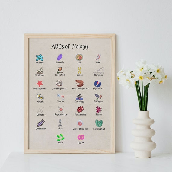 Abcs of Biology Poster Vintage Printable Science Classroom - Etsy