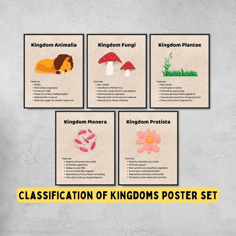Vintage Classification of Kingdoms Printable Posters Biology - Etsy