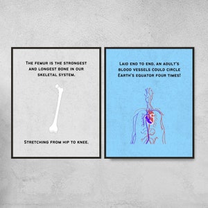 Biology Fun Facts Posters for Classroom Decor, Popular Science Posters ...