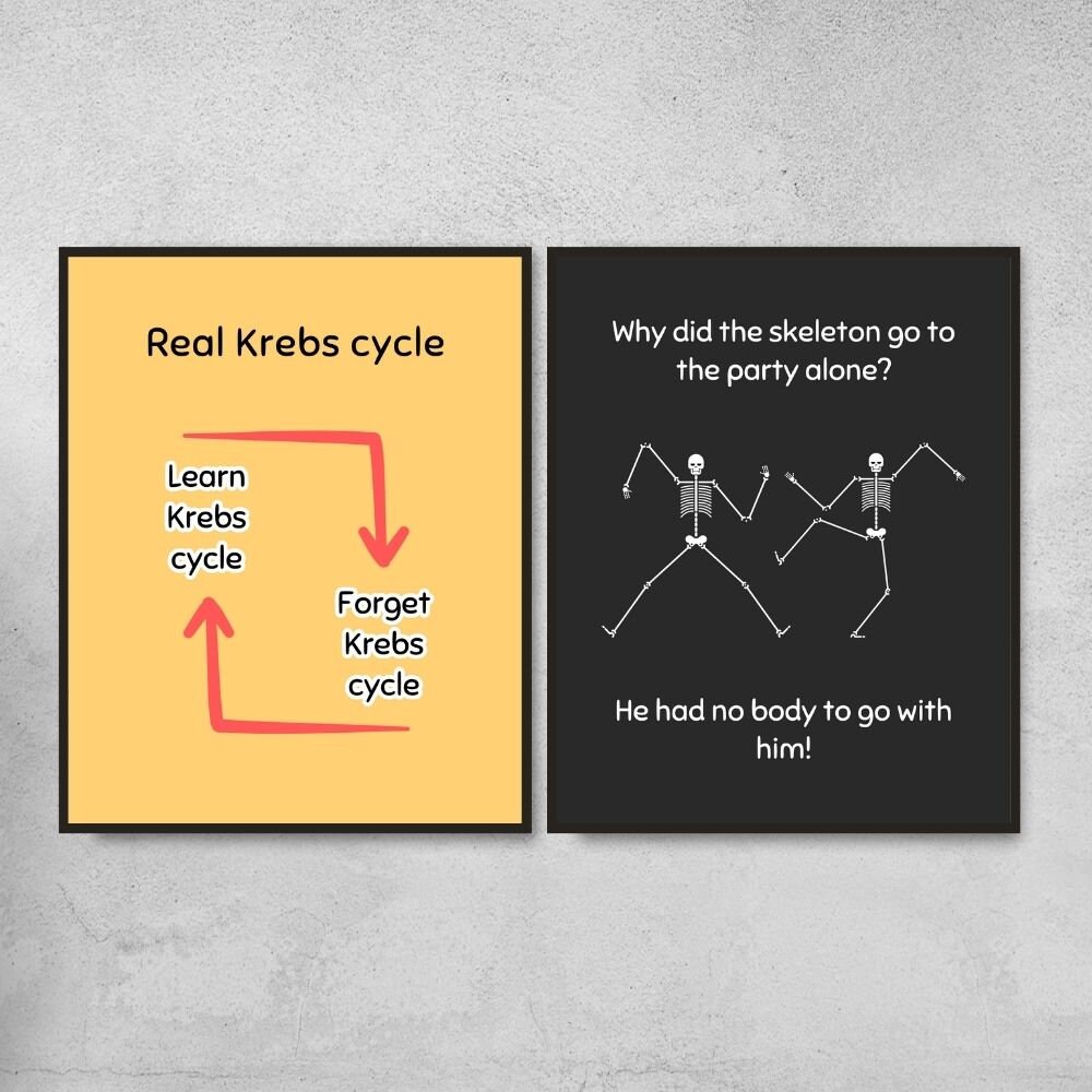 Funny Biology Posters for Classroom Decor, Popular Science Posters ...