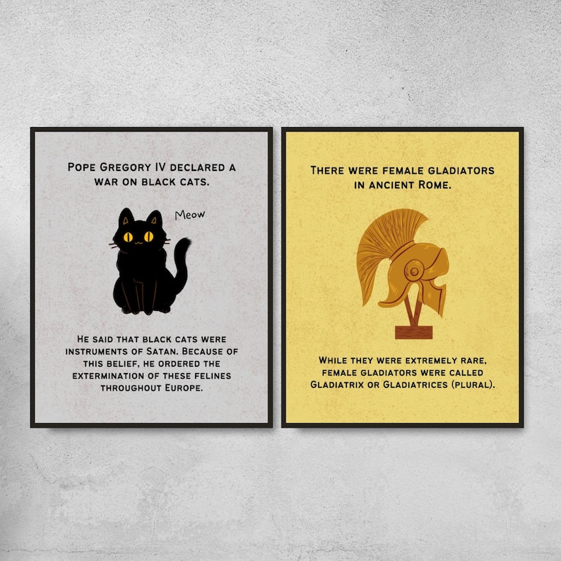 History Fun Facts Posters for History Classroom Decor, Homeschool ...