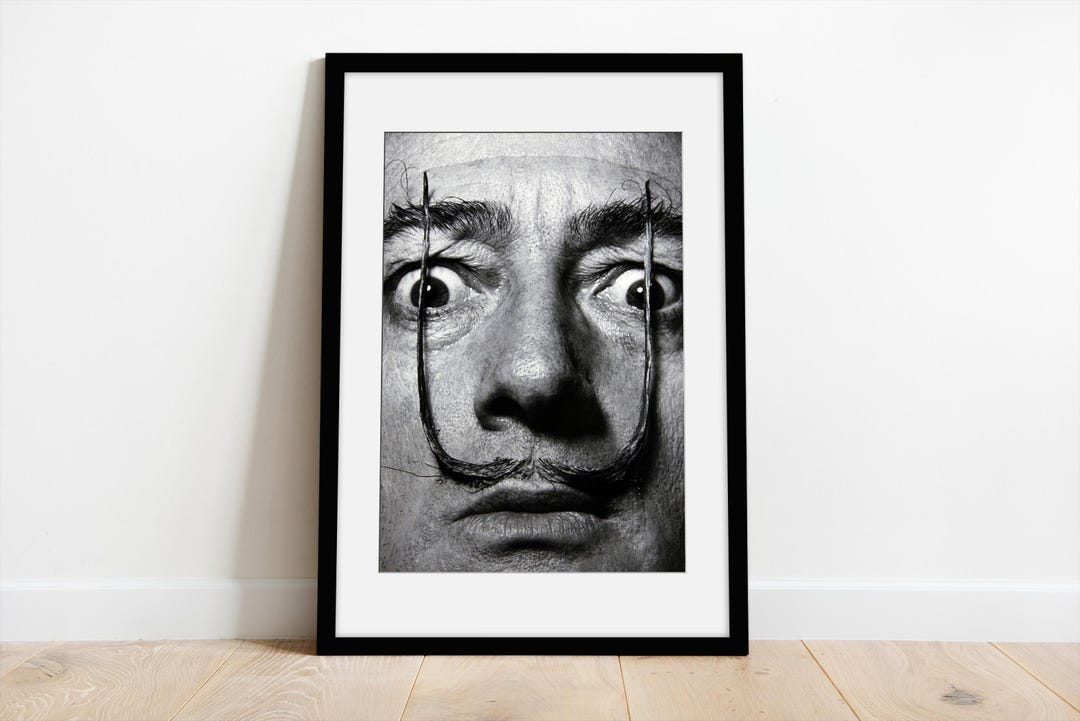 Fine Art Photo of Salvador Dali's Moustache by Philippe Halsman - Famed ...