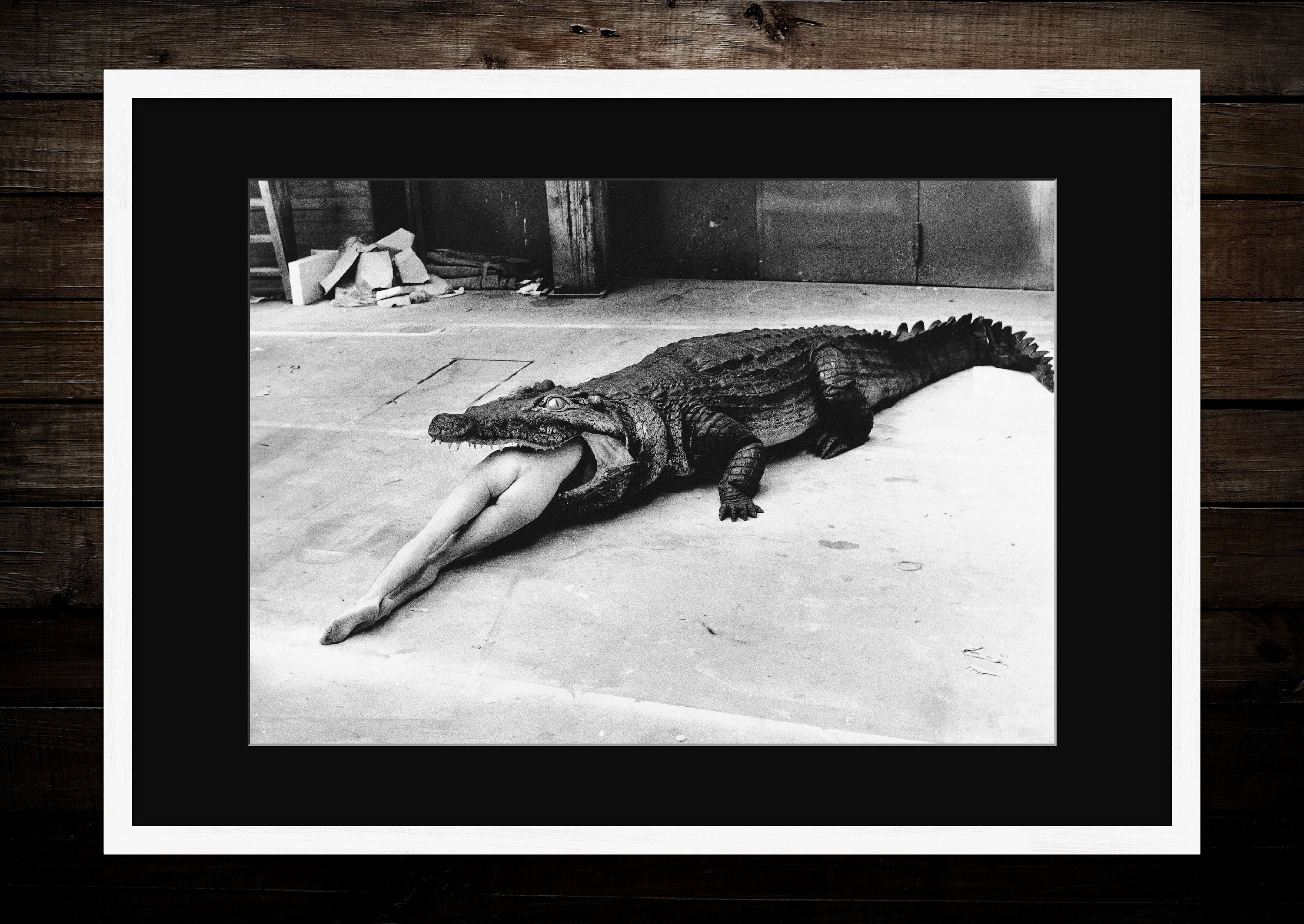 Helmut Newton Print Helmut Newton Crocodile Eating Ballerina Pina ...