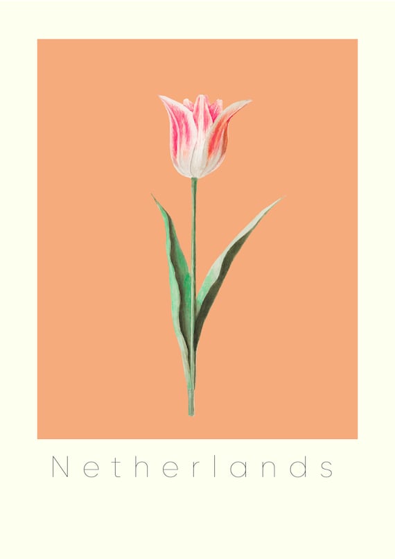 Room Poster Digital Poster Printable Wall Poster Flower - Etsy