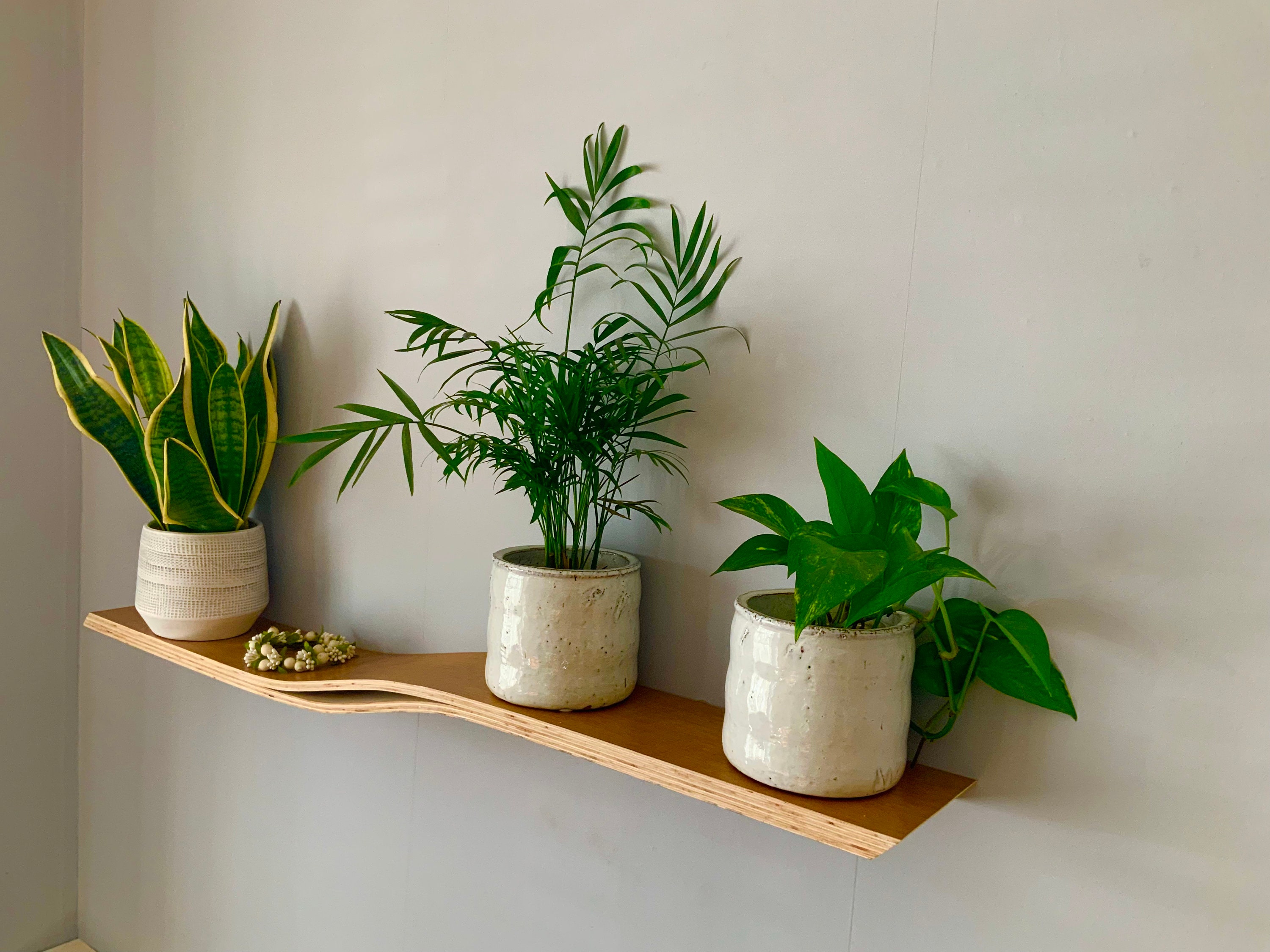 Curved Floating Shelf - Etsy