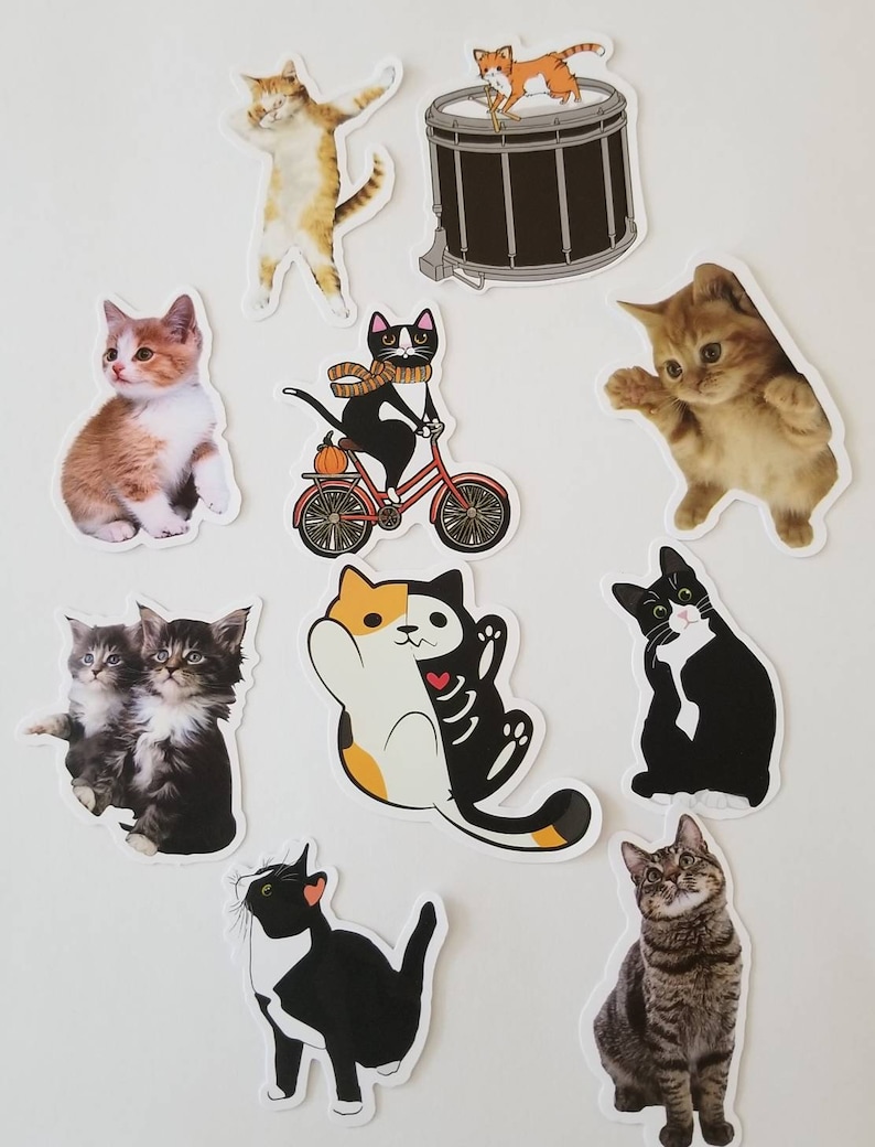 Cat Stickers 10 Pack - Etsy