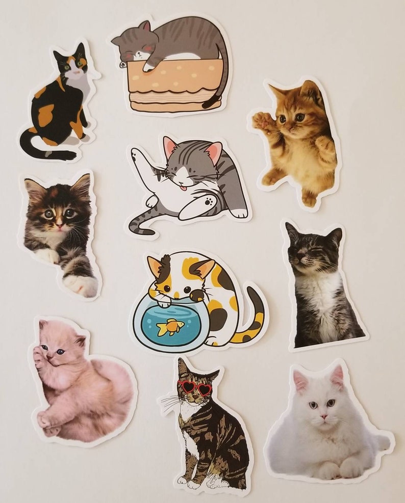 Cat Stickers 10 Pack - Etsy