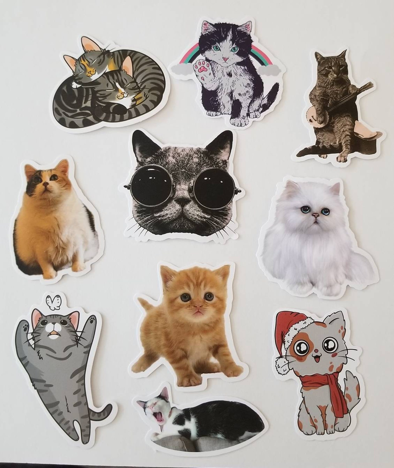 Cat Stickers 10 Pack - Etsy