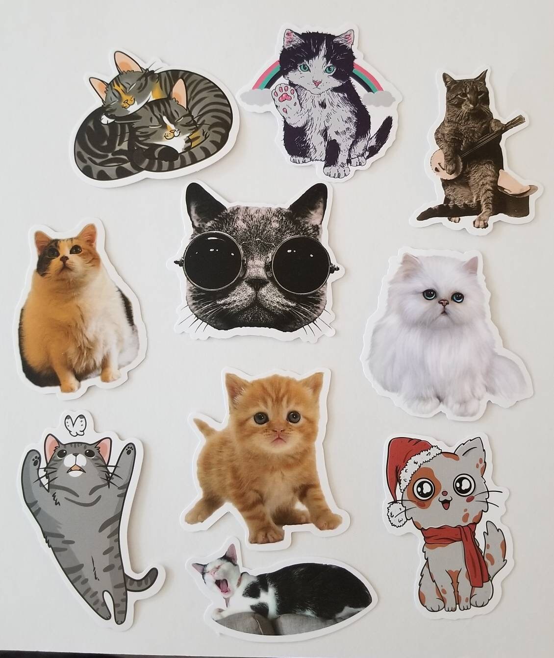 Cat Stickers 10 Pack - Etsy