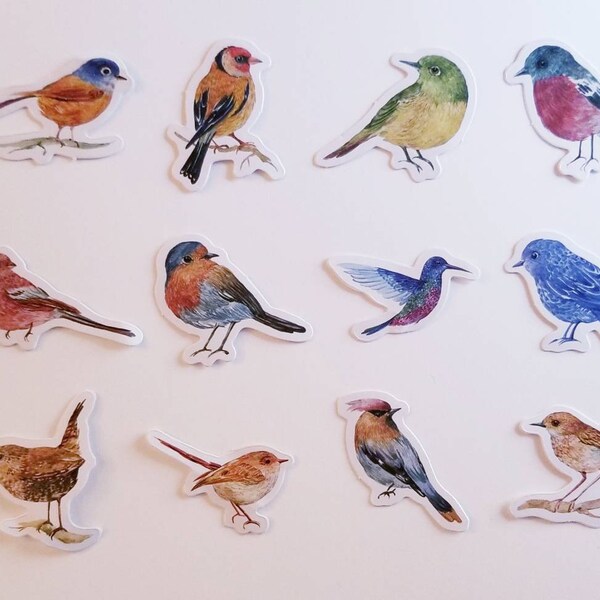 Bird Watching Stickers - Etsy