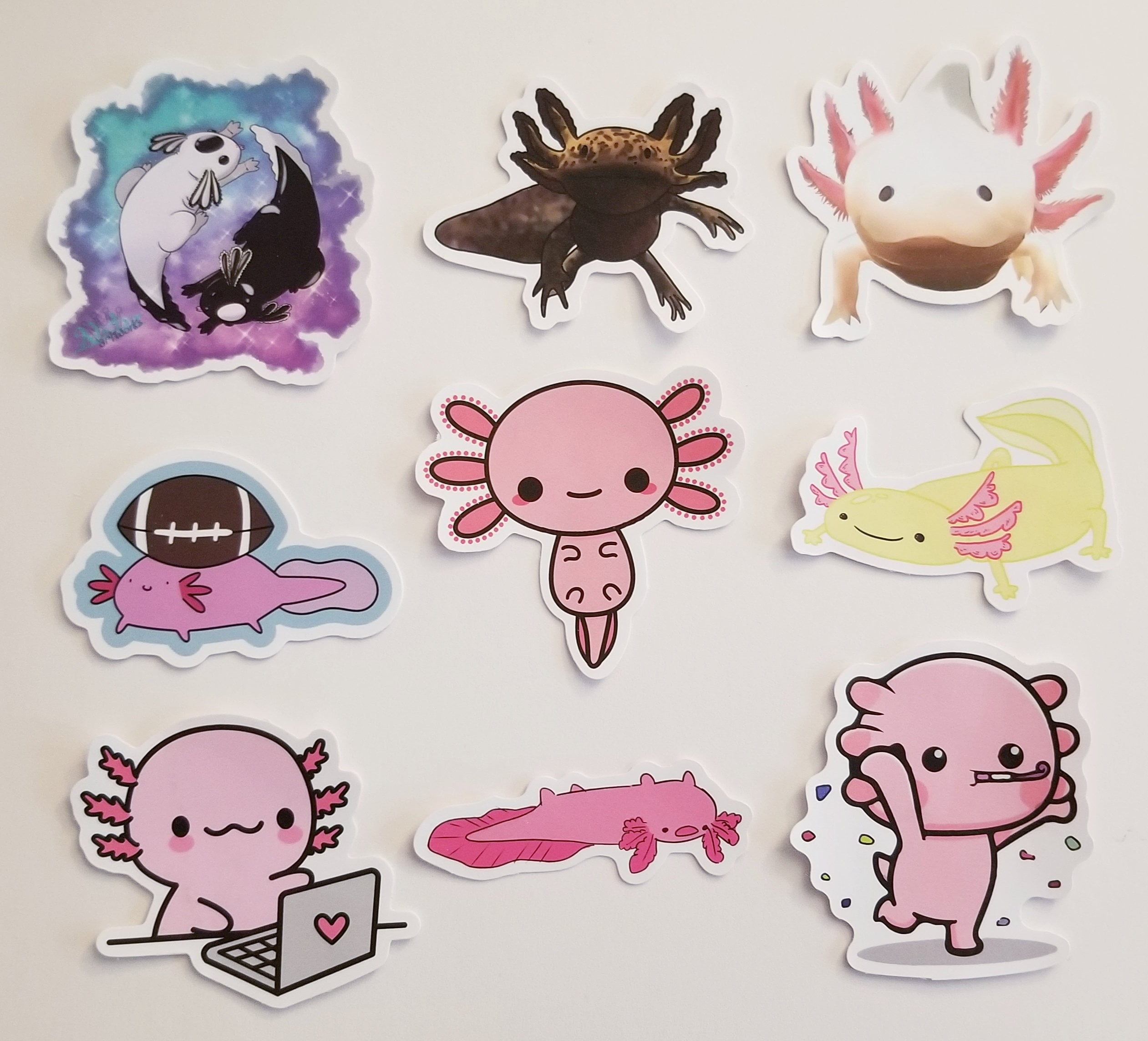 Axolotl Stickers Pack of 10 - Etsy