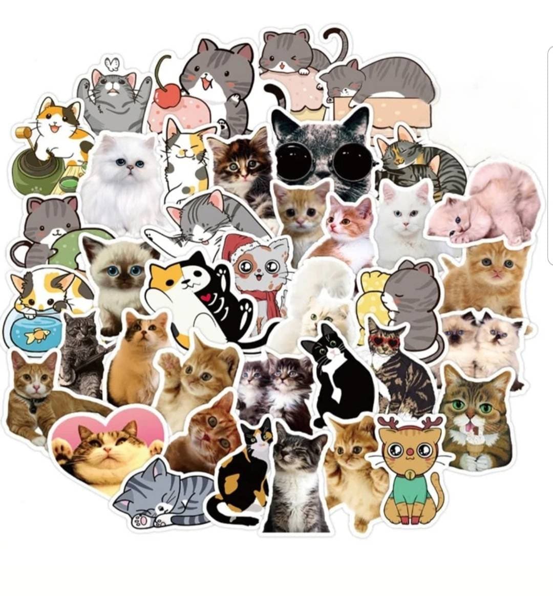 Cat Stickers 10 Pack - Etsy