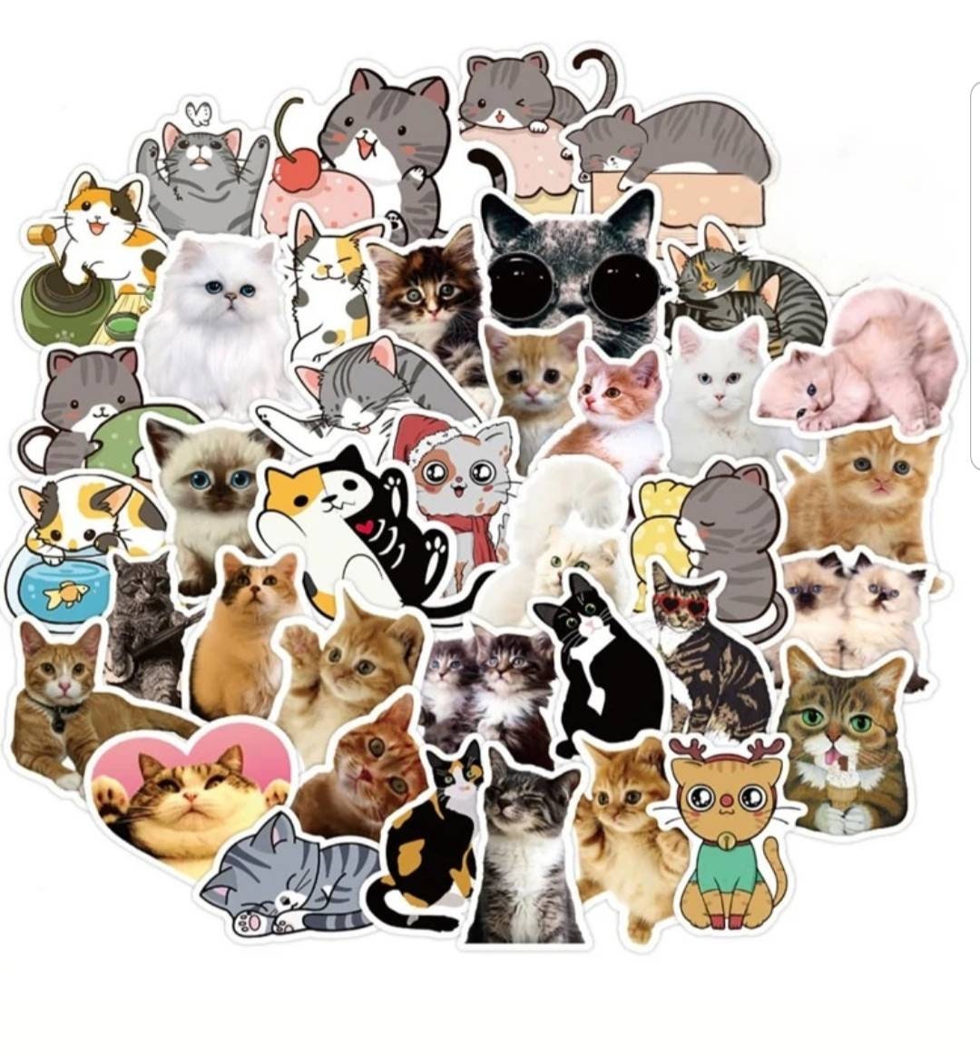 Cat Stickers 10 Pack - Etsy