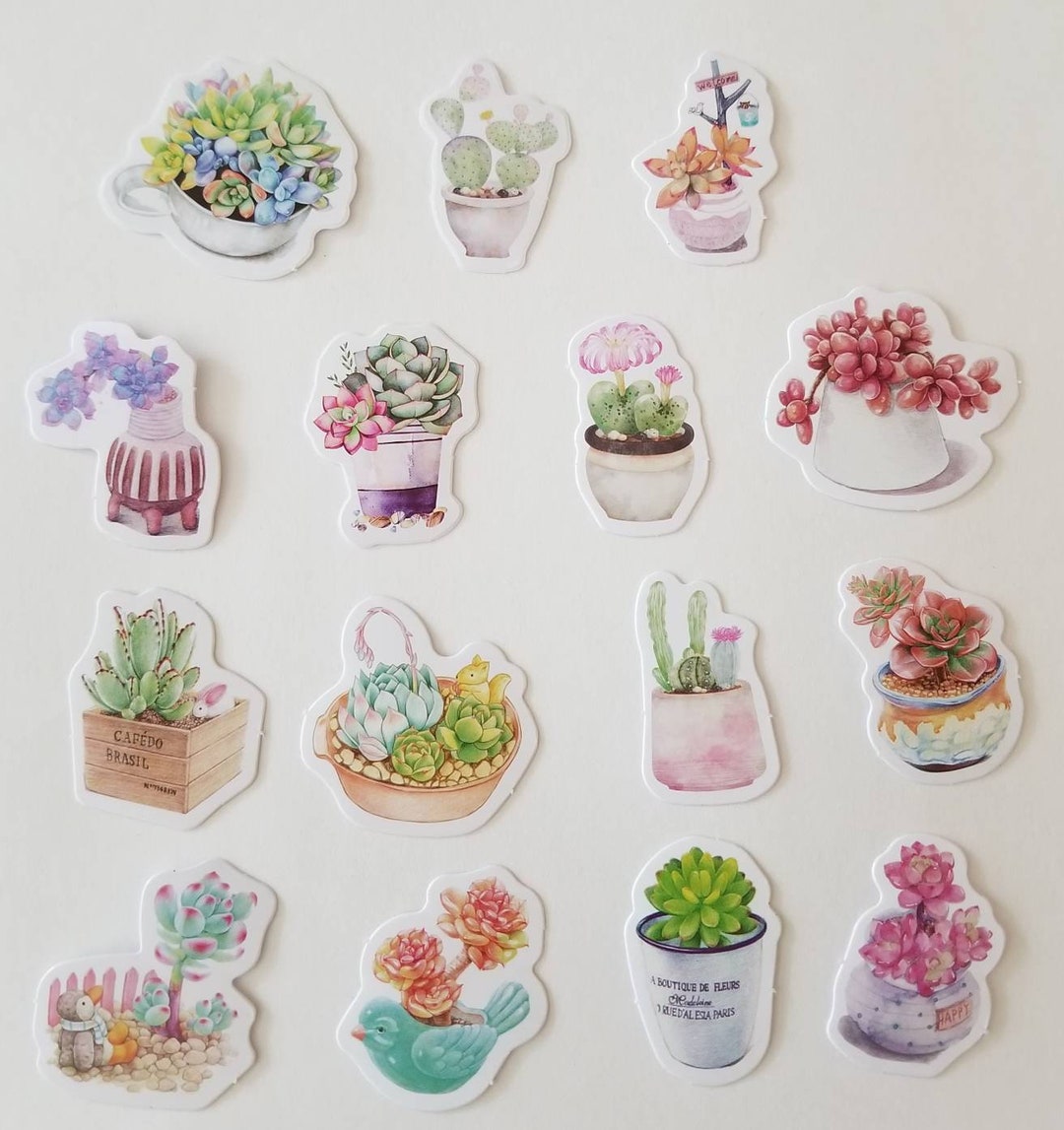 Mini Succulent Stickers 15 Pack - Etsy