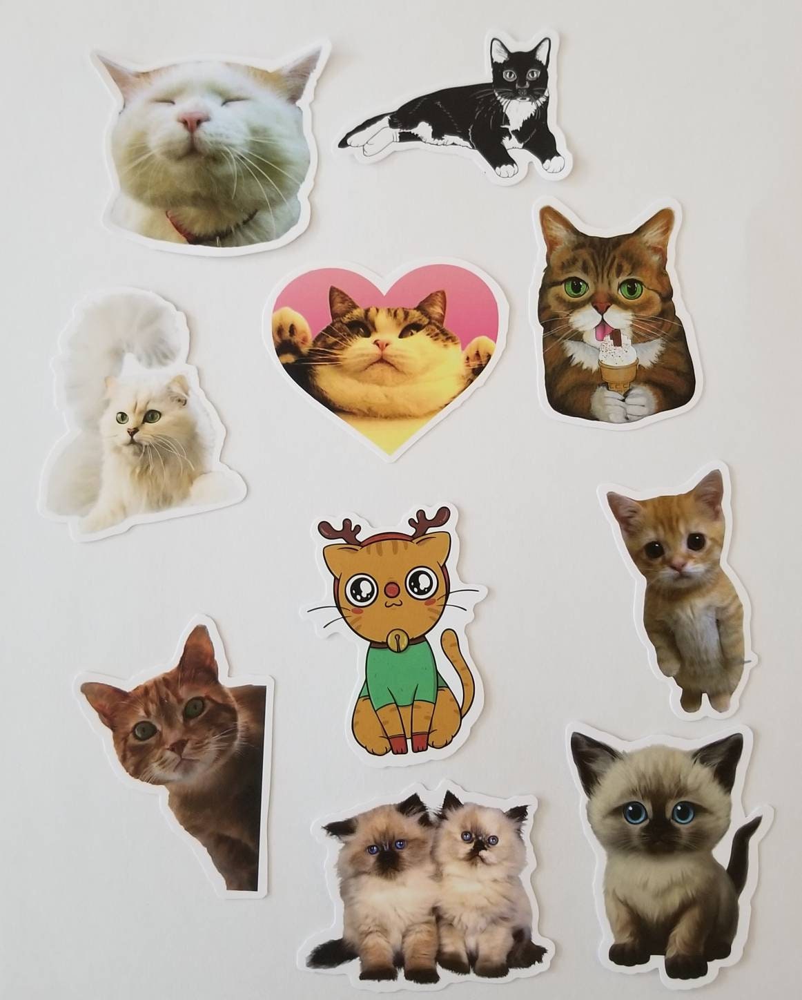Cat Stickers 10 Pack - Etsy