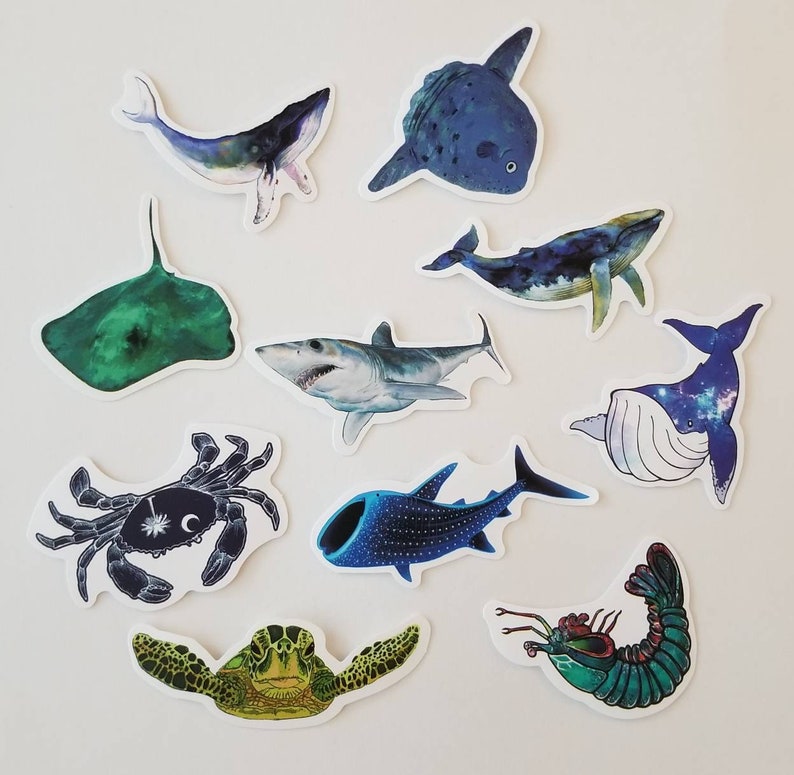 Ocean Animal Stickers 10 Pack - Etsy