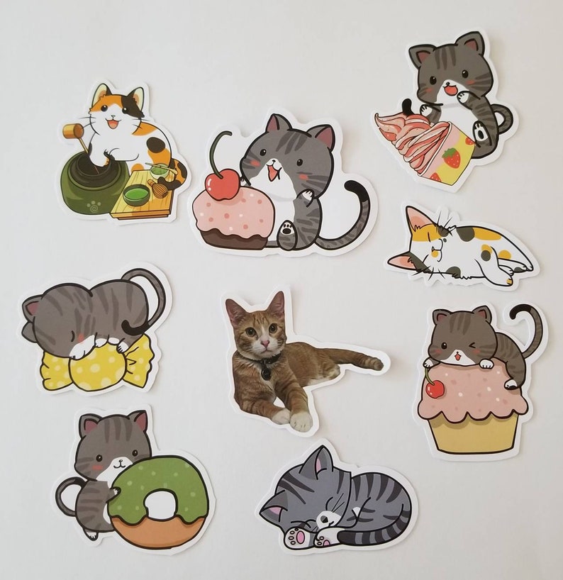 Cat Stickers 10 Pack - Etsy
