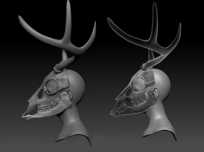 Deer Skull 3d-model for Print - Etsy