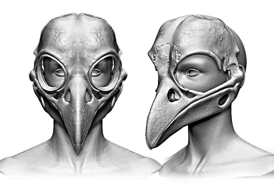 Raven Skull 2-in-1 3d-model for Print - Etsy