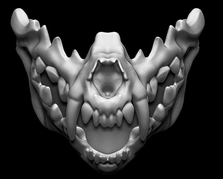 Wolf Skull/skulldog Mask 3d-model for Print - Etsy Australia