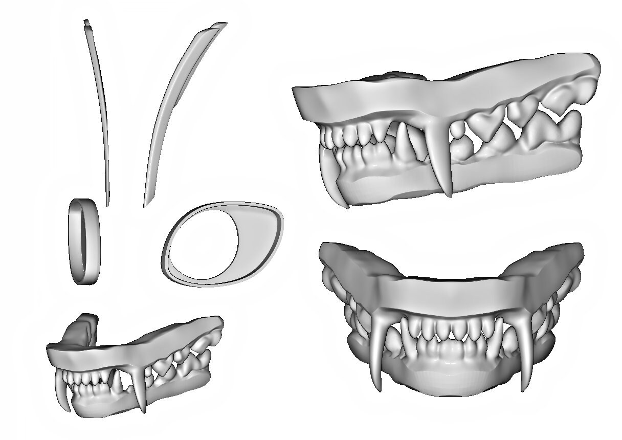 Tiger Bee 3d-model of Headbase for Print - Etsy