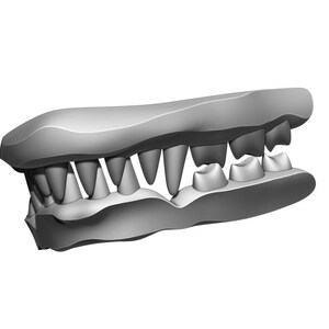 King Rauru Headbase 3d-model for Print - Etsy