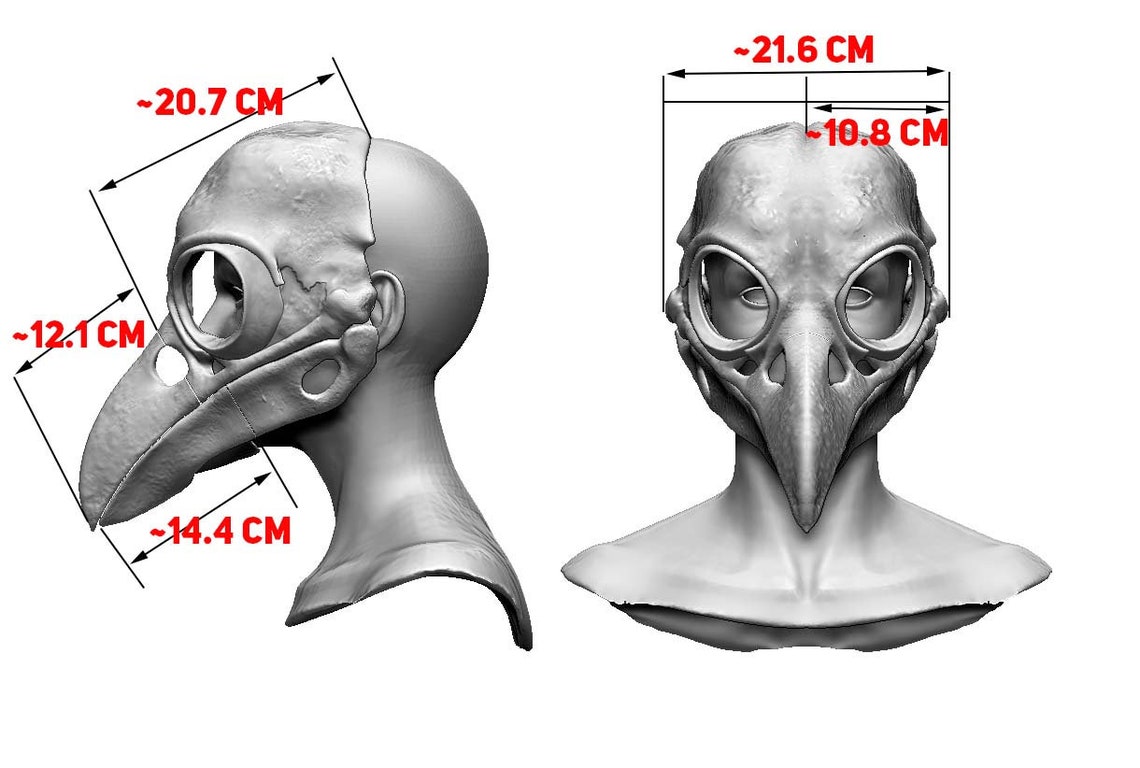 Raven Skull 2-in-1 3d-model for Print - Etsy