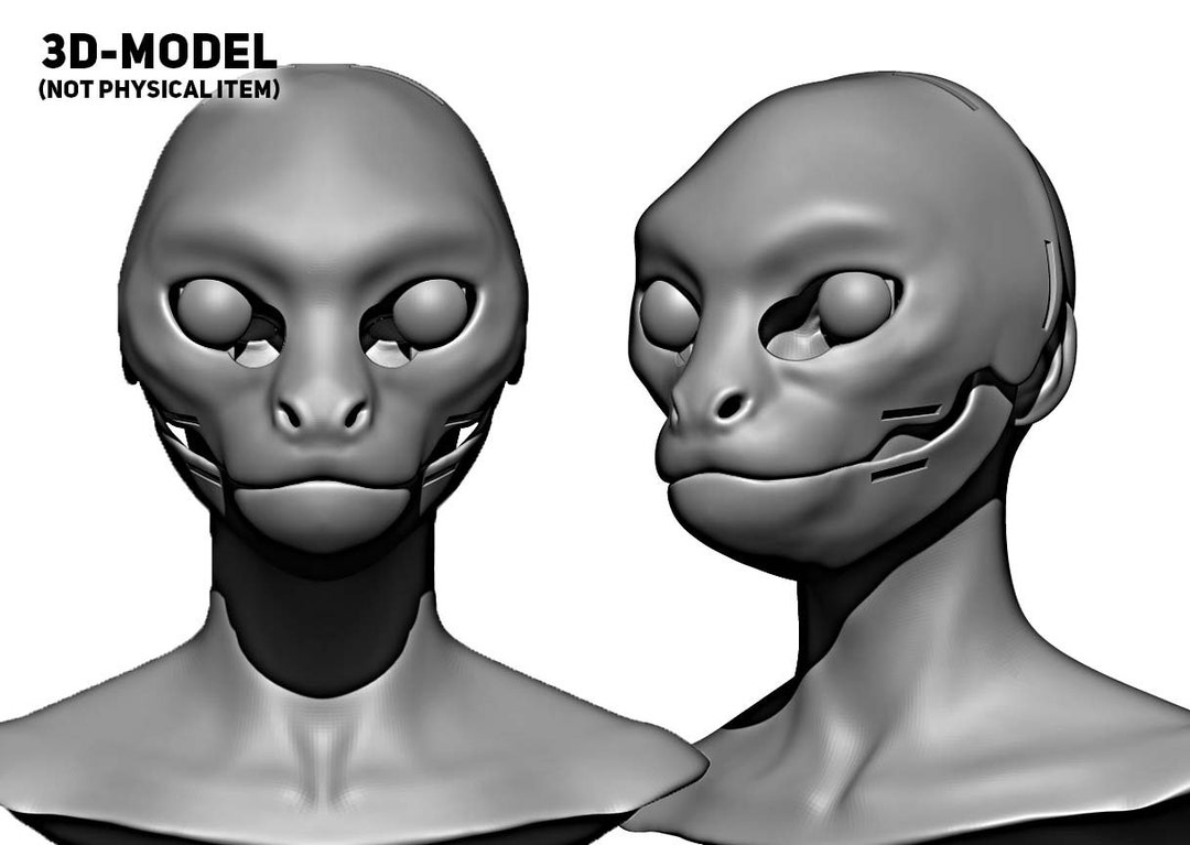 Capuchin Monkey Headbase 3d-model for Print - Etsy