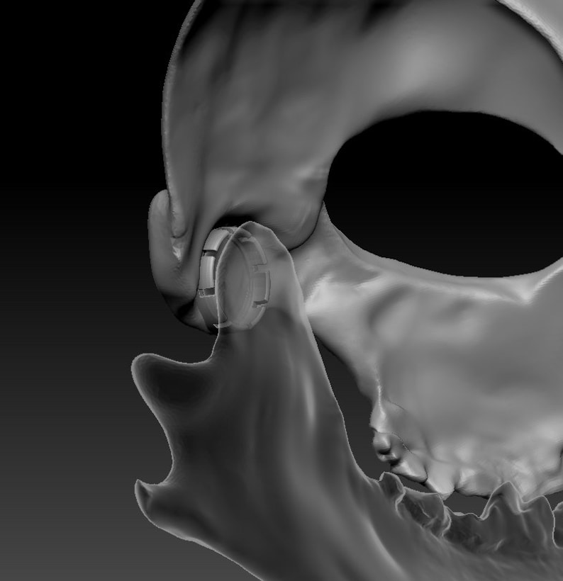 Wolf Skull/skulldog STL 3d-model Headbase 3d-model Kit | Etsy