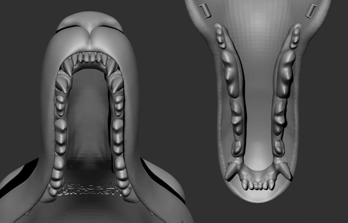 Realistic Vernid Base 3d-model for Print - Etsy