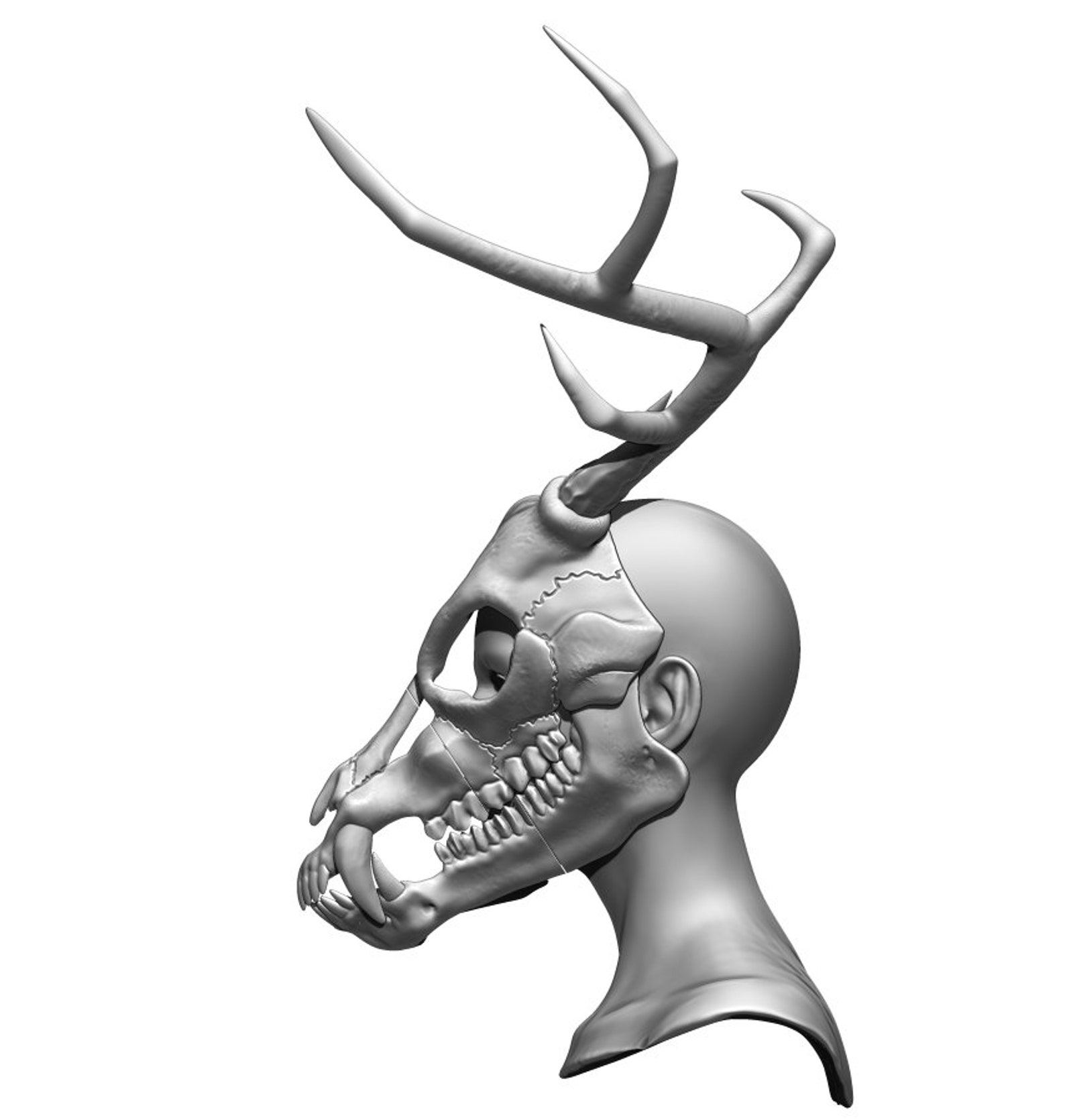 Wendigo Skull Base 3d-model for Print - Etsy