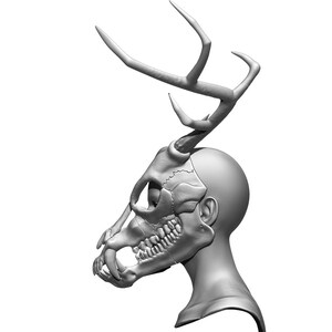 Wendigo Skull Base 3d-model for Print - Etsy
