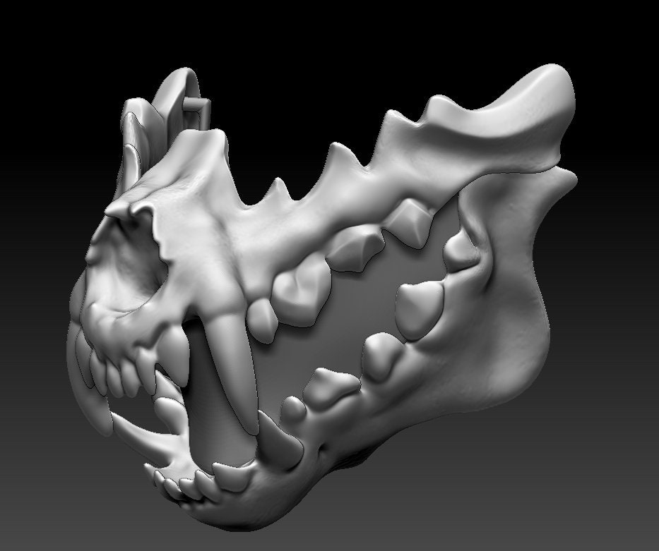 Wolf Skull/skulldog Mask 3d-model for Print - Etsy Australia