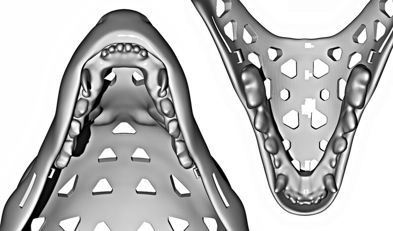 Tiger Bee 3d-model of Headbase for Print - Etsy