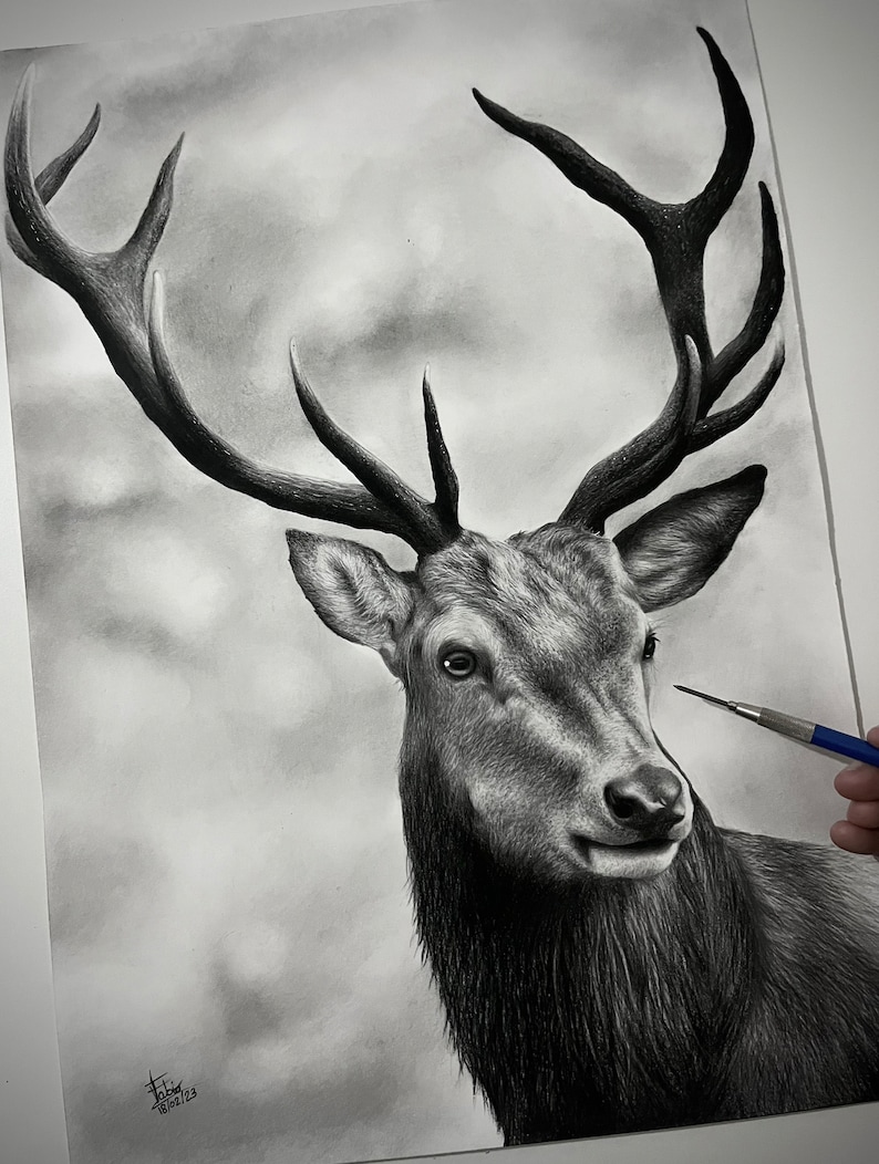 Realistic Deer Drawing Prints - Etsy