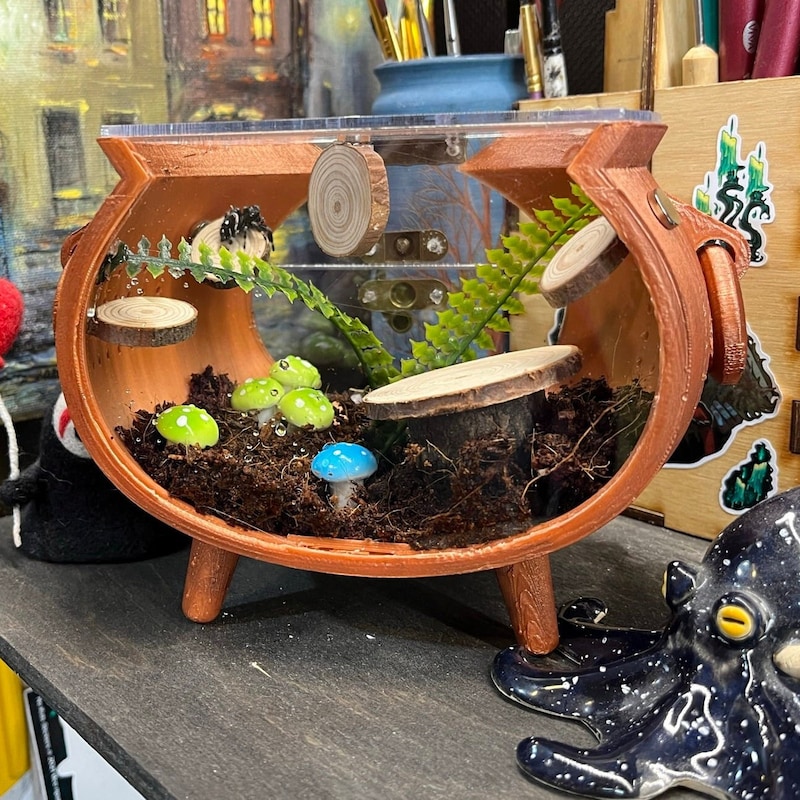 Jumping Spider Enclosure - Etsy