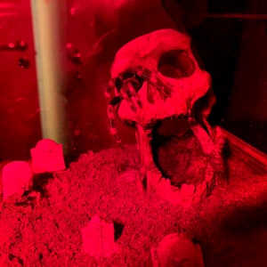Skull Hide Cave Decor Tarantulas Enclosure. Water-resistant Terrarium ...