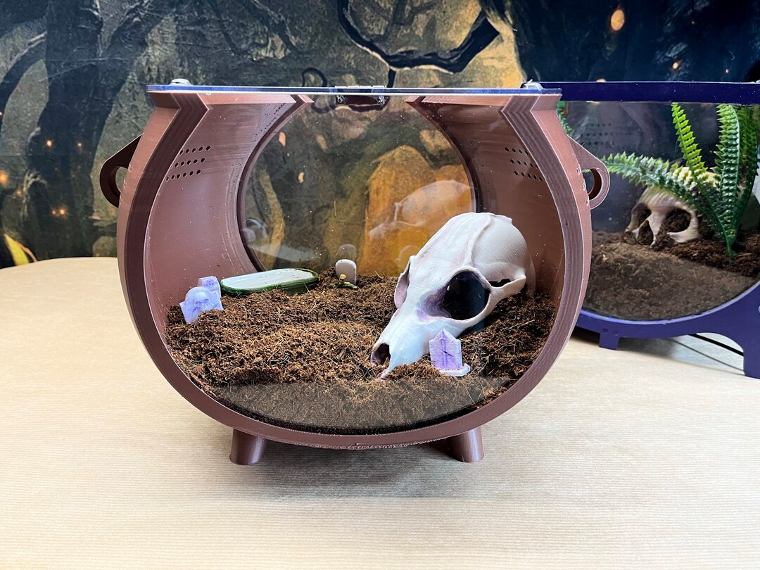 Cauldron Tarantula Enclosure Plastic and Plexiglass, Medium Size. Decor ...