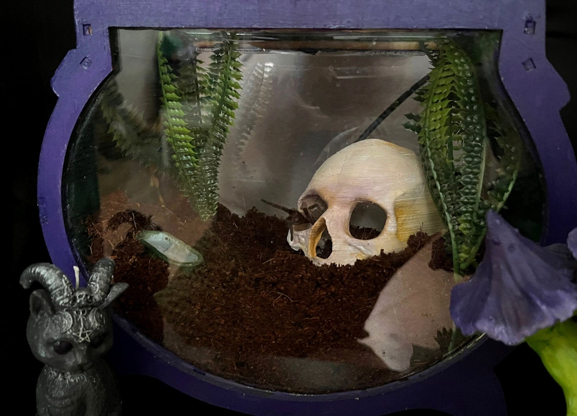 Realistic Human Skull Model Hide Cave Decor for Tarantulas - Etsy
