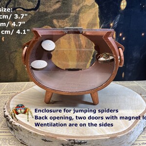 Jumping Spider Enclosure. Small Cauldron Acrylic Glass Enclosure for ...
