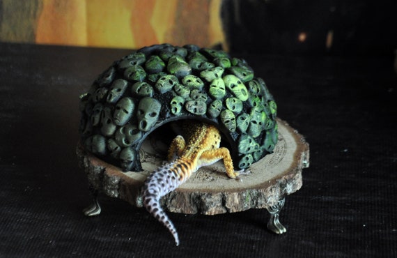 Gecko Hide Cave. Decor for Reptiles Decor Tarantulas - Etsy