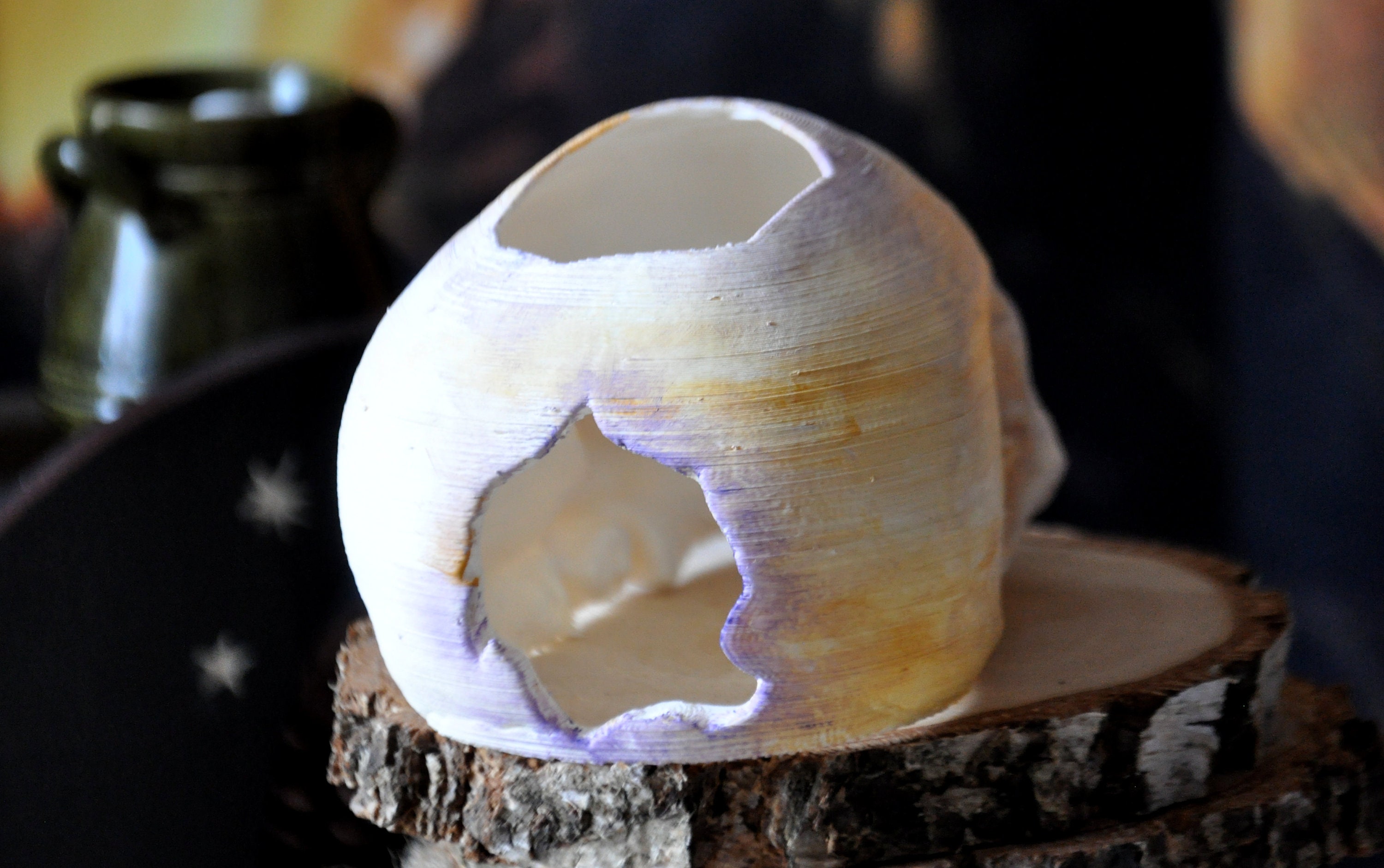 Realistic Human Skull Model Hide Cave Decor for Tarantulas - Etsy Australia