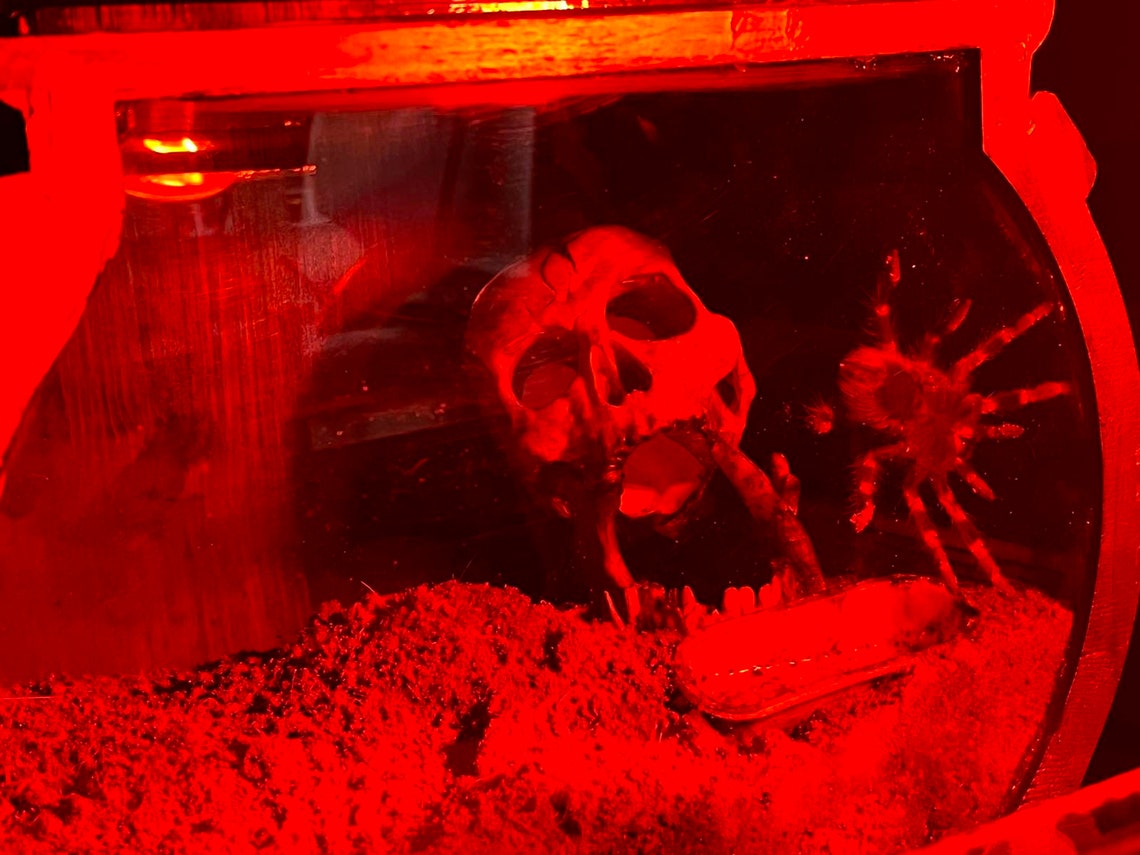 Skull Hide Cave Decor Tarantulas Enclosure. Water-resistant - Etsy
