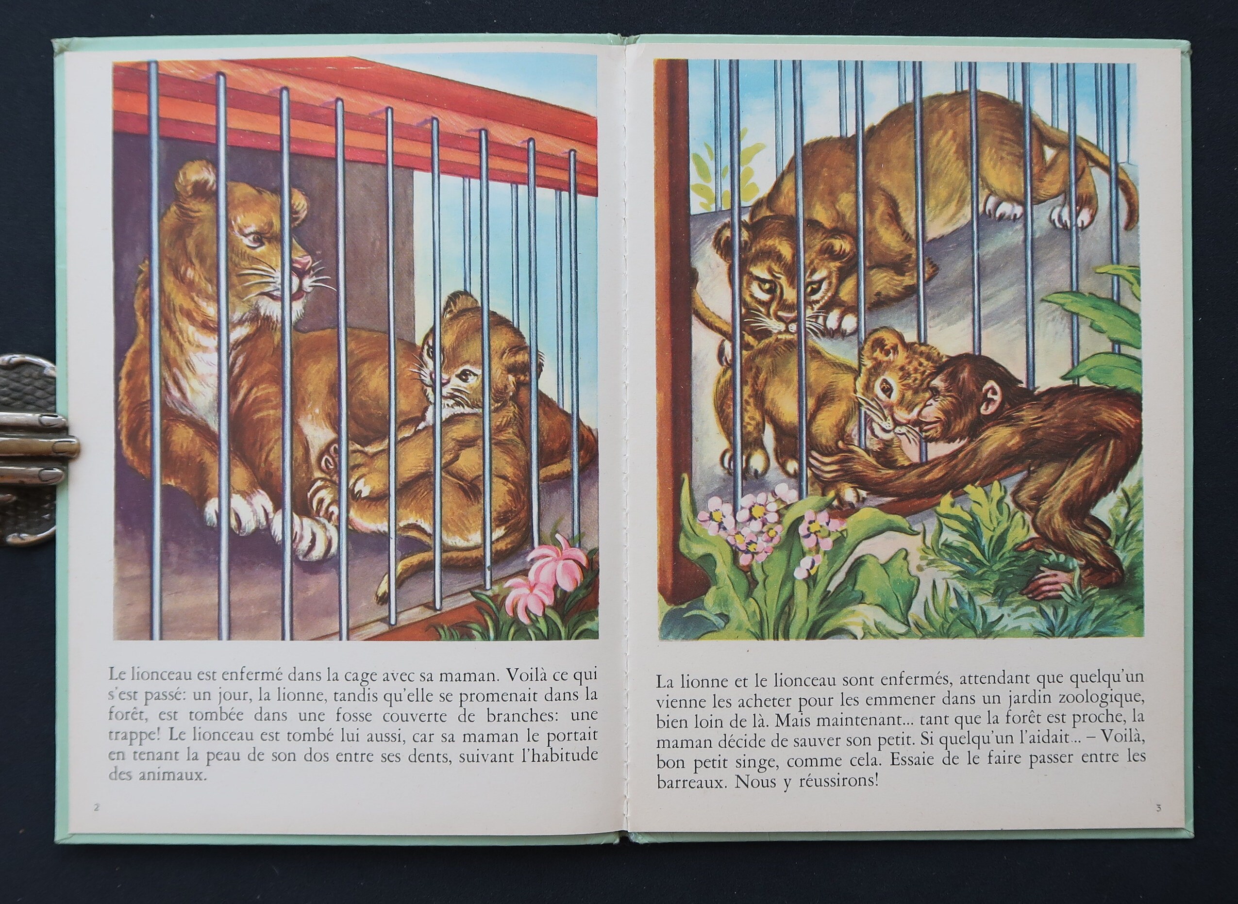 1958 the Adventures of a Lion Cub Vintage Children's Book - Etsy