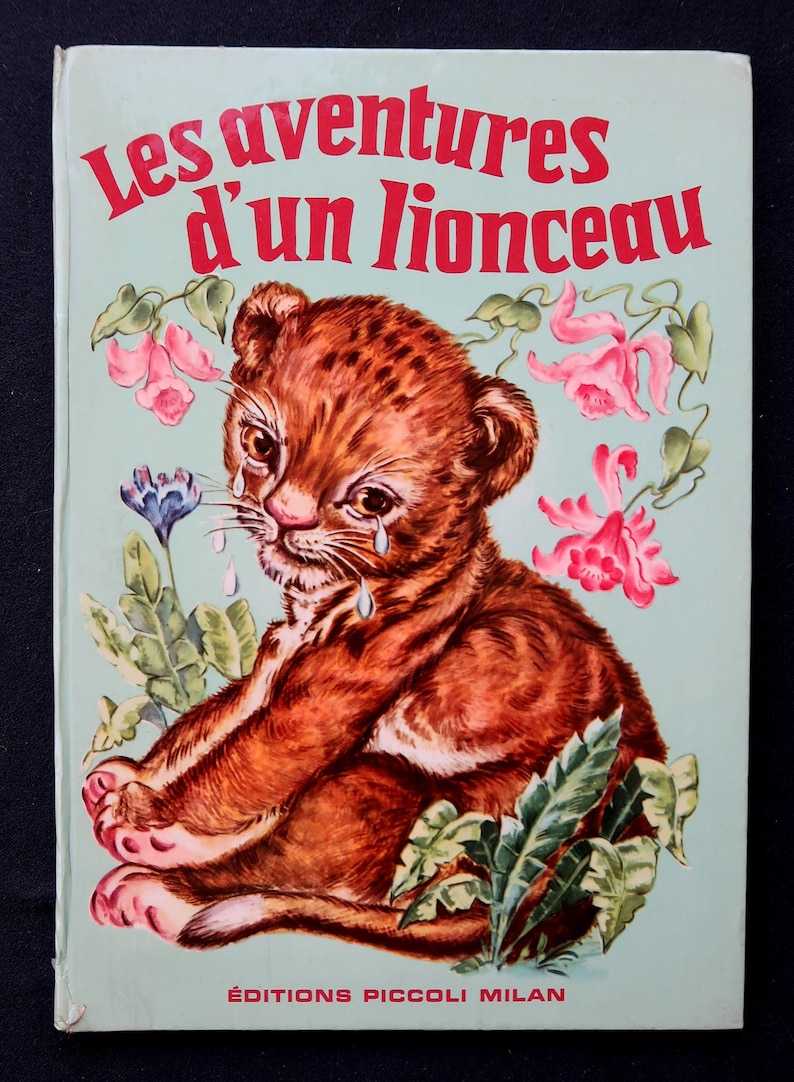 1958 the Adventures of a Lion Cub Vintage Children's Book - Etsy