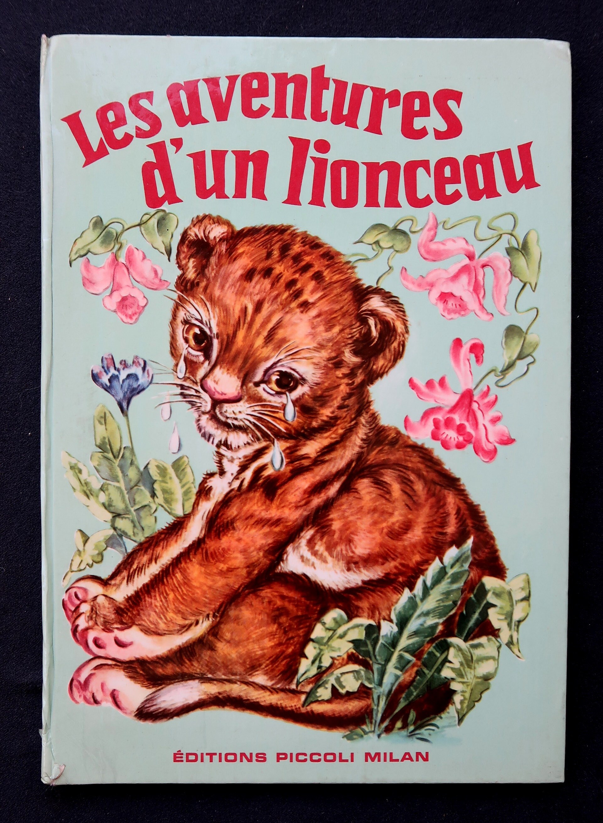 1958 the Adventures of a Lion Cub Vintage Children's Book - Etsy