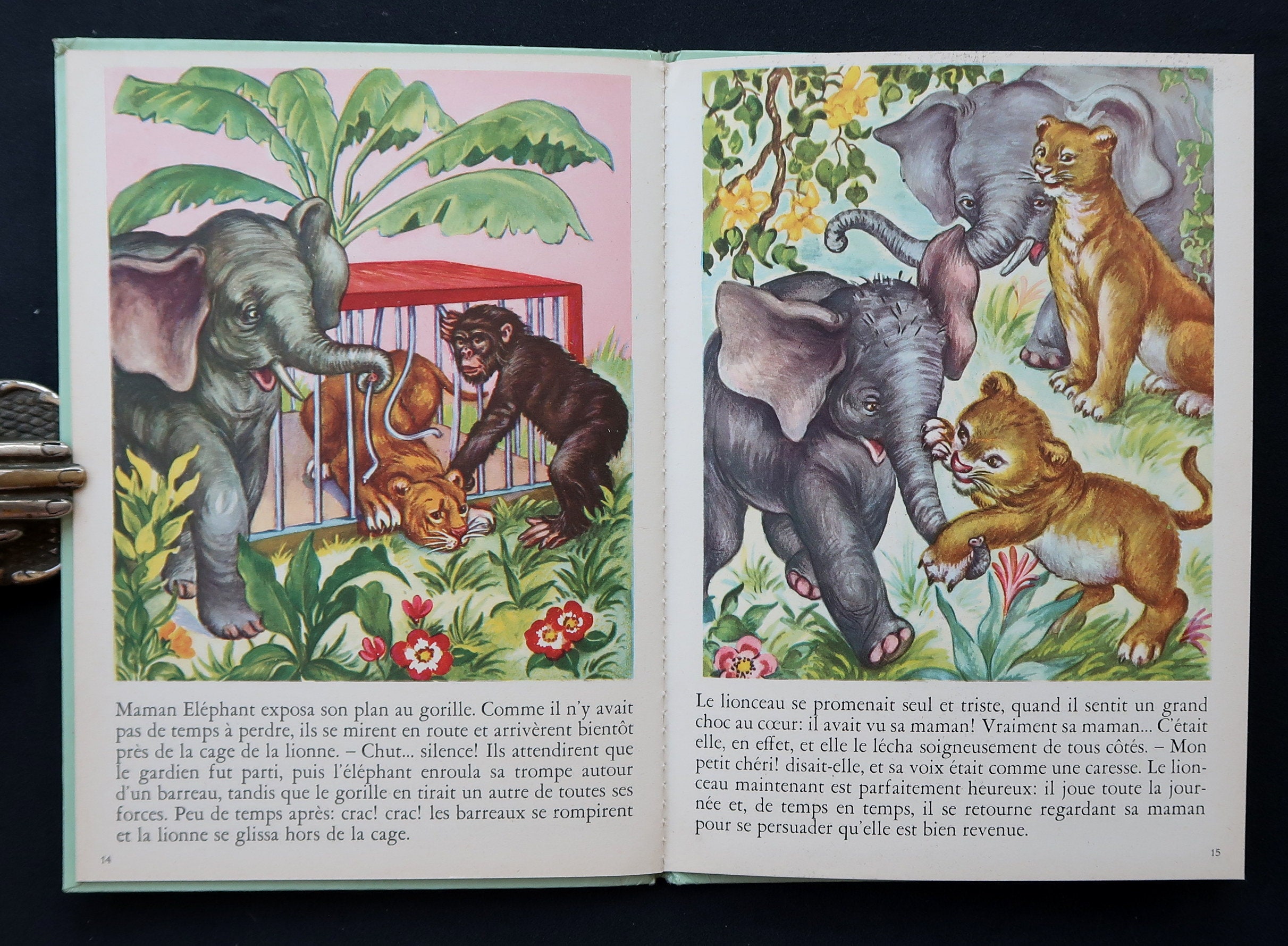 1958 the Adventures of a Lion Cub Vintage Children's Book - Etsy