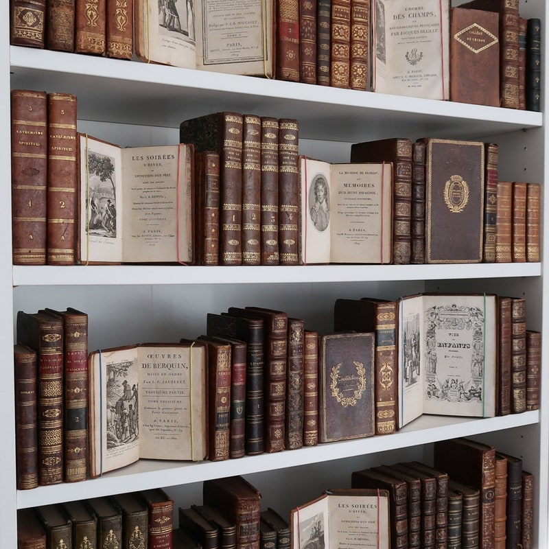 French Leatherbound Books - Etsy