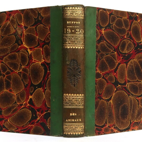 Antique Natural History - Etsy