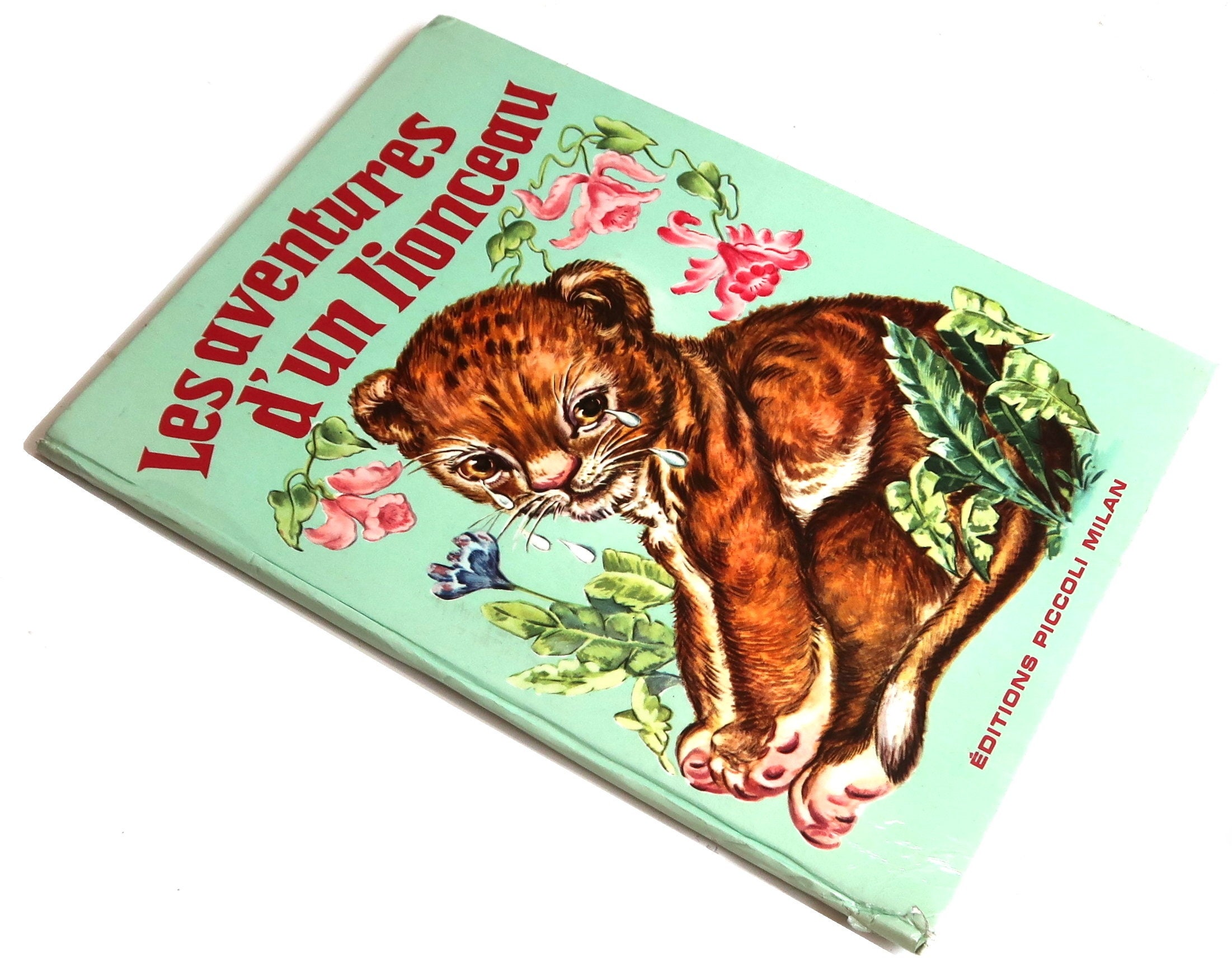 1958 the Adventures of a Lion Cub Vintage Children's Book - Etsy